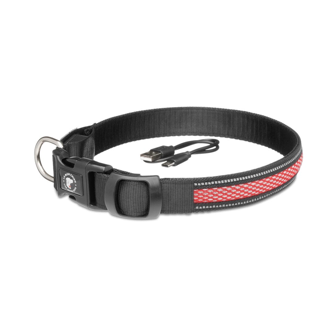Le Bon Chien collier lumineux rechargeable – Boutique Döggo